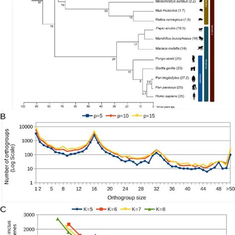 A Phylogenetic Tree Of Analyzed Mammalian Genomes B Histogram Of