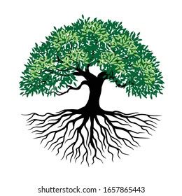 Tree Roots Round Logo Icon Stock Vector Royalty Free 1657865443