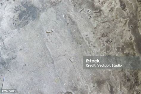 グランジコンクリートテクスチャーグレイの背景写真ストック からっぽのストックフォトや画像を多数ご用意 からっぽ インドネシア