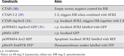List Of Plasmid Constructs Download Table