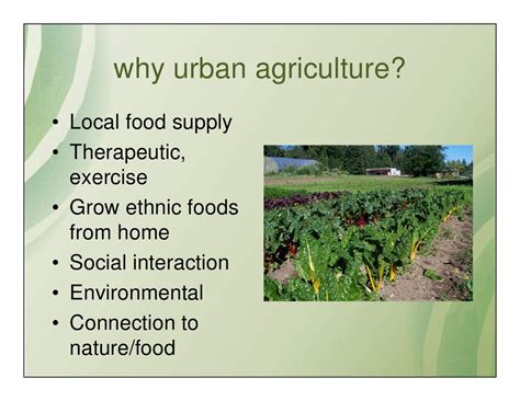 Urban Agriculture Issues For Public And Environmental Health