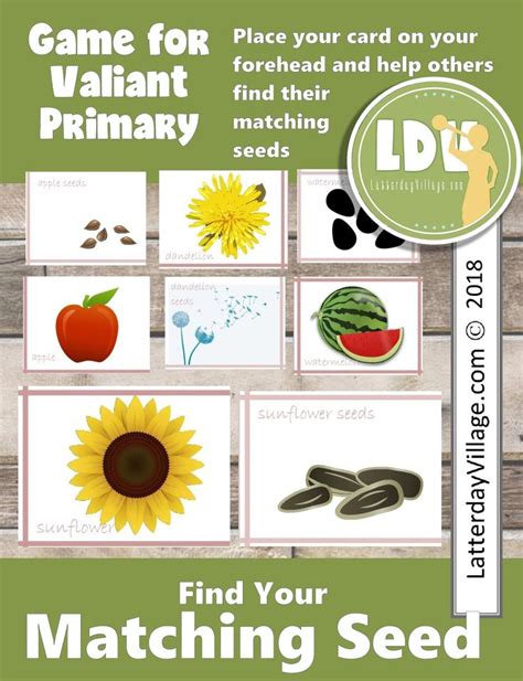 Game For Primary 6 Lesson 3 The Creation Valiant Primary Lesson
