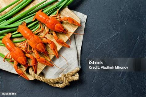 나무도 마에 삶은 붉은 가재 검정색 배경 평면도 텍스트 공간 갈고리 발톱에 대한 스톡 사진 및 기타 이미지 갈고리 발톱 갈색 강 Istock