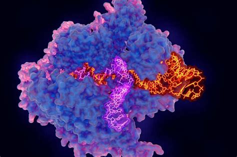 The High Cost Of Crispr Therapy Will Stop It Getting To Most Patients New Scientist