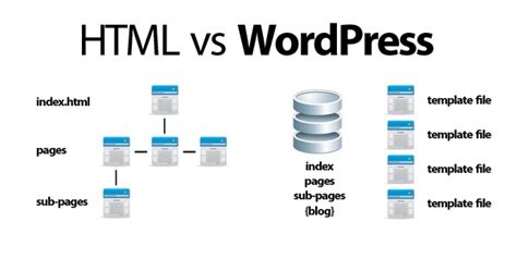 what is the difference between wordpress website and coding website