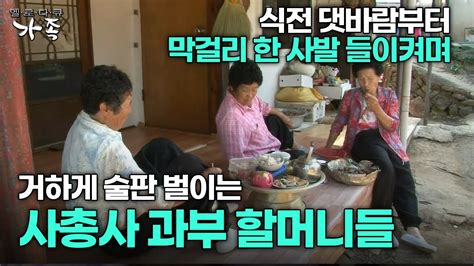 다큐 ‘가족 243회 1부 식전 댓바람부터 막걸리 한 사발 들이켜며 술판 벌이는 사총사 과부 할머니들 Youtube
