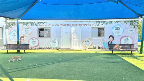 חיפוי קרוואן אדרבה Restart