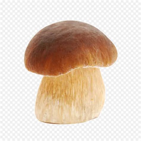 Png Png