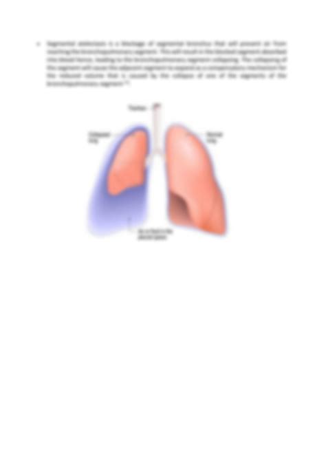Solution Bronchopulmonary Segment Of Lungs And Its Clinical Significance Practice Essay