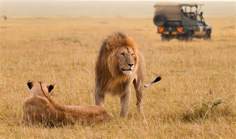 20 Curiosidades Sobre Kenia Que Tal Vez No Sepas Quiero Ver Mundo