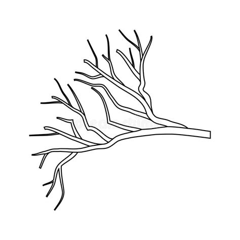 Branch Icon Vector Set Tree Illustration Sign Collection Firewood