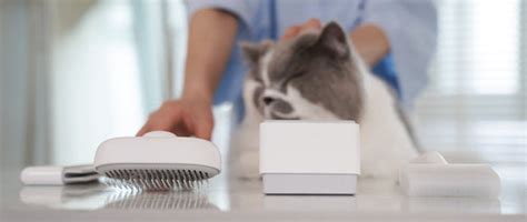 Aumuca Silicone Cat Brush One Button Release And Massage For Shedding