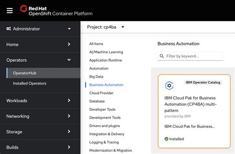 Technical Recipe Cp Ba Deployment Methodologies Ibm Cloud Techzone