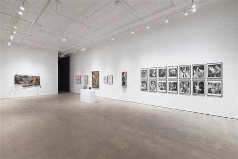 Carolee Schneemann Of Course You Can Dont You Dare Exhibitions