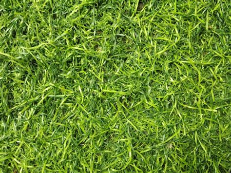 Premium Photo Artificial Grass Texture Background