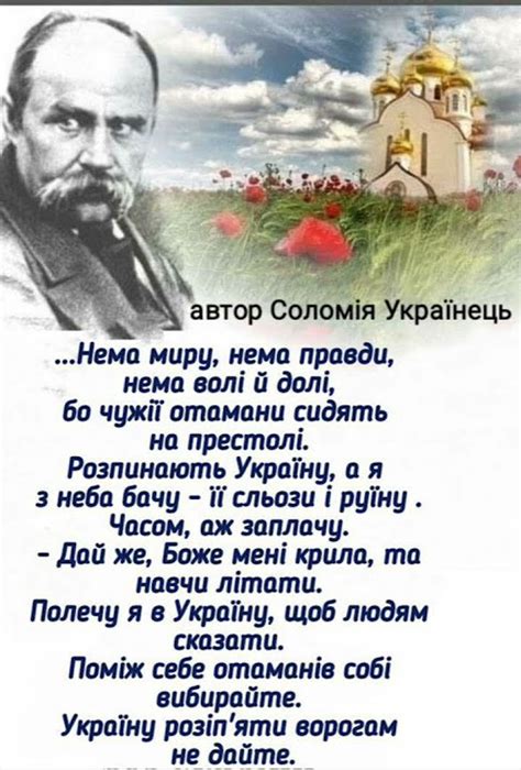 Автор Соломія Українець History вірші україна класика війна