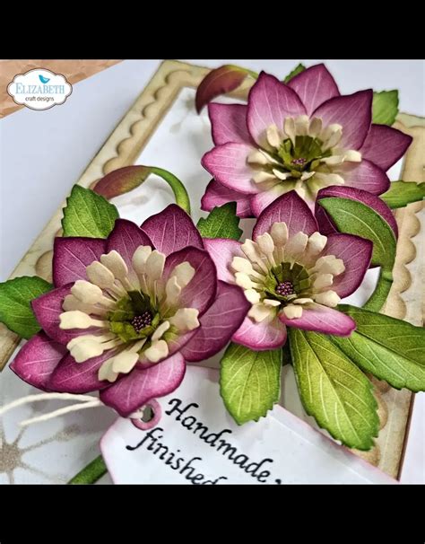 Elizabeth Craft Designs Paper Flowers Lenten Rose Die Set Scrapbook