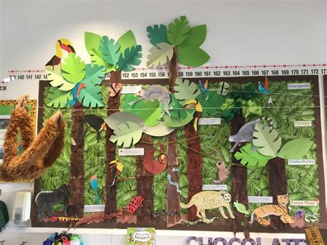 Rainforest Jungle Display For Ks2 Art
