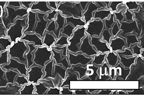 B Doped Q Carbon High Temperature Superconductivity
