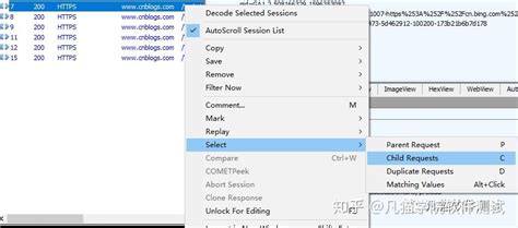 Web 网页抓包和Fiddler修改包 知乎
