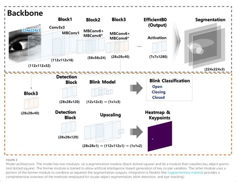 Figure 1 From Feasibility Of Video Based Real Time Nystagmus Tracking