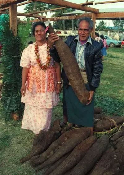 Yam New World Encyclopedia