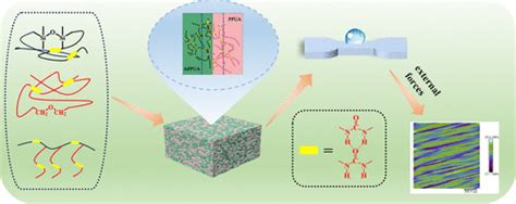 Preparation Of Self Healing Thermoplastic Polysiloxanepolyureapolyetherpolyurea Elastomer