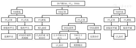 指南与共识孕产期甲状腺疾病防治管理指南 MedSci cn
