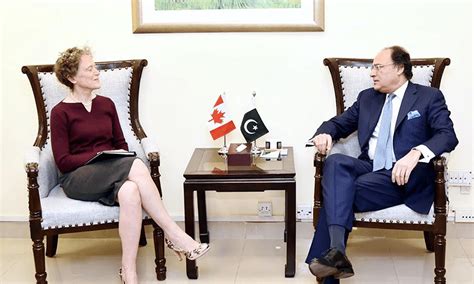 پی آئی اے کی نجکاری، ملکی و غیرملکی سرمایہ کاروں نے دلچسپی ظاہر کی ہے