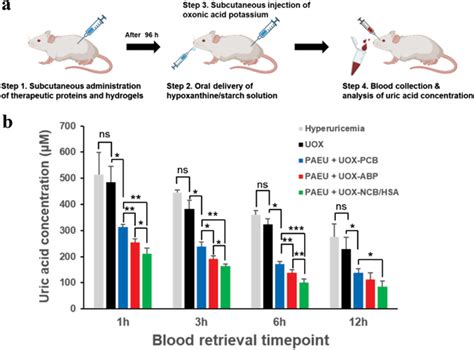 In Vivo Uric Acid Lowering Effect Of Uox Variants A Experimental