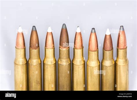 Tips Of A Few Rifle Bullets Lined Up In A Row On White Background Stock Photo Alamy