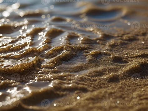 Wet Sand Close Up View Of Texture Rest Structure Photograph 42102619
