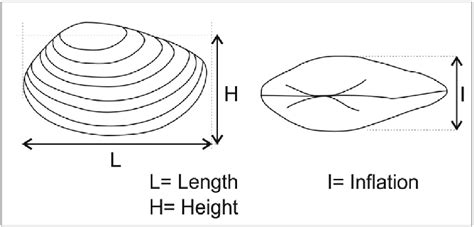 Biometric Parameters Considered For Systematic Study Download Scientific Diagram