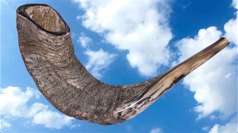 L histoire inattendue derrière le shofar JForum