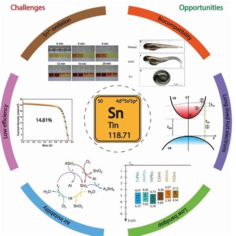 Pdf Tin Halide Perovskites From Fundamental Properties To Solar Cells