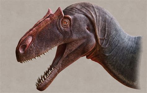 A Second Species Of Allosaurus Has Been Officially Named By Utah Scientists