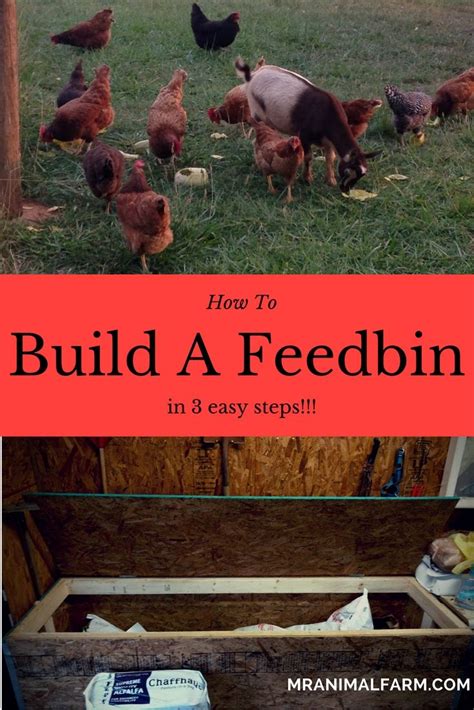 Diy Feed Bin For Fresh And Rodent Free Feed Storage