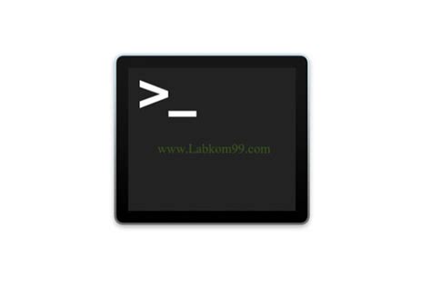 Ping Macbook Menggunakan Terminal Dan Cara Menjalankannya