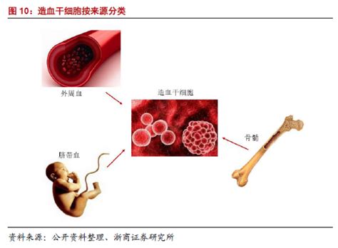 【研报】干细胞治疗 生命再生奇迹，无可替代技术（68页）乐晴智库