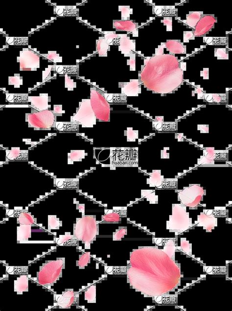 植物系列插画风飘浮的花瓣元素素材 花瓣网