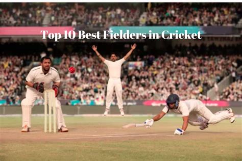 Unveiling The Top 10 Best Fielders In Cricket A Comprehensive Analysis
