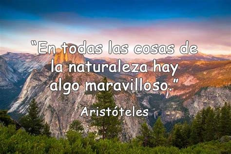 75 Frases De La Naturaleza Realmente Inspiradoras
