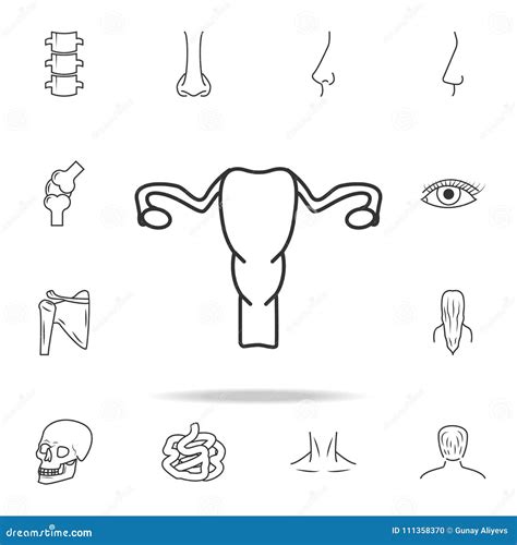 Gynecology Icon Uterus Detailed Set Of Human Body Part Icons Premium