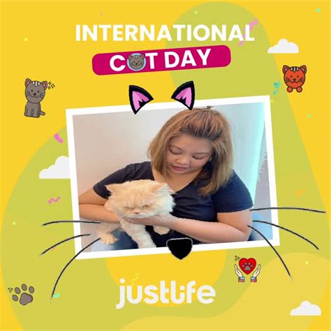 Justlife On Linkedin Say Hello To Our Favorite Co Workers 😻🙌 The