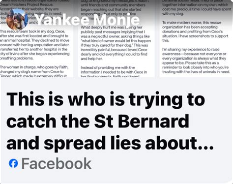 Cathi Perez The Truth Is Faith Easdale Got A Plea To Facebook