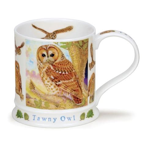 Iona Wildlife Tawny Owl Owl Tawny Owl Wildlife