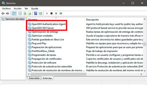 Activar Servidor Ssh Windows Descargar Pdf
