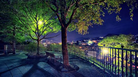 Wallpaper Sunlight Trees Forest Cityscape Night Nature