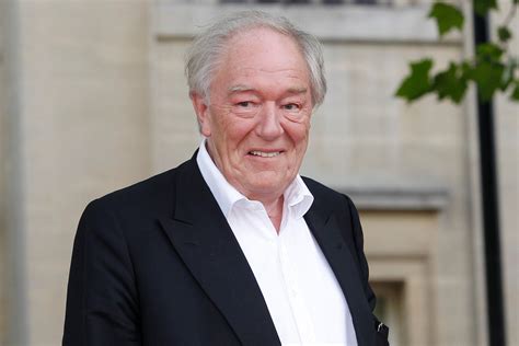 Michael Gambon Veteran Actor Who Played Dumbledore In Harry Potter