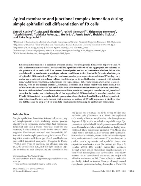Pdf Apical Membrane And Junctional Complex Formation During Simple